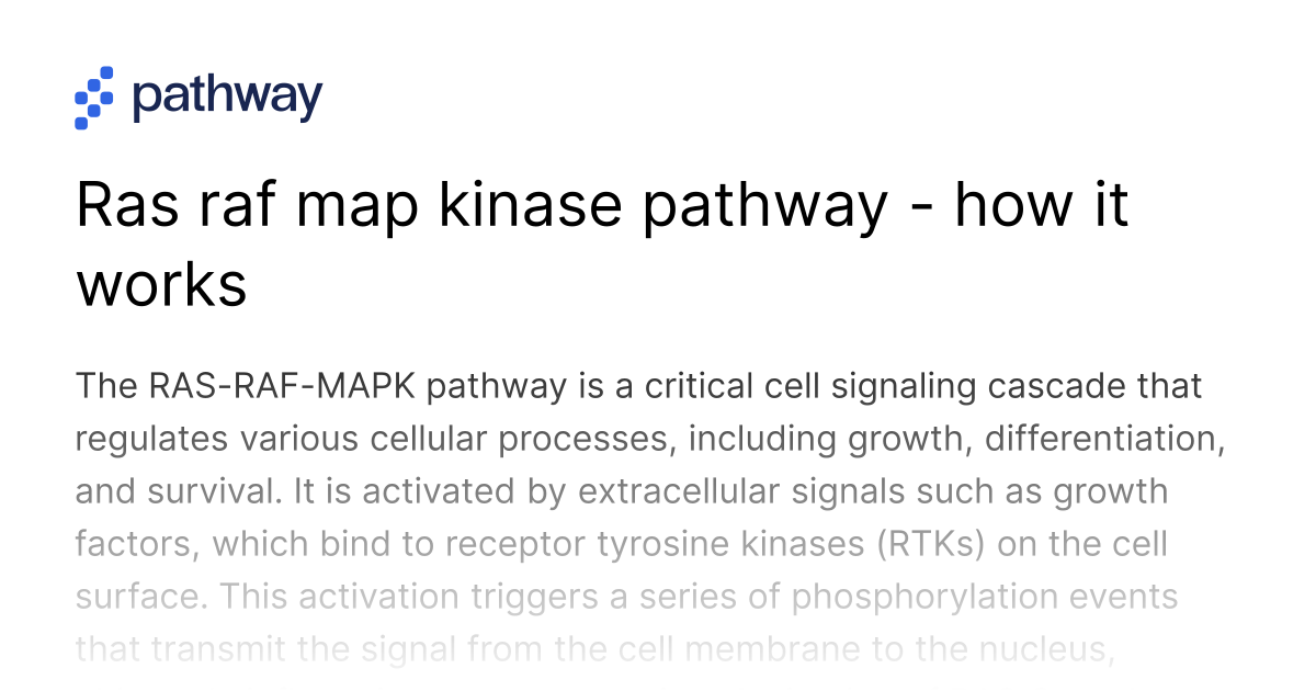 ras raf map kinase pathway - how it works – Pathway